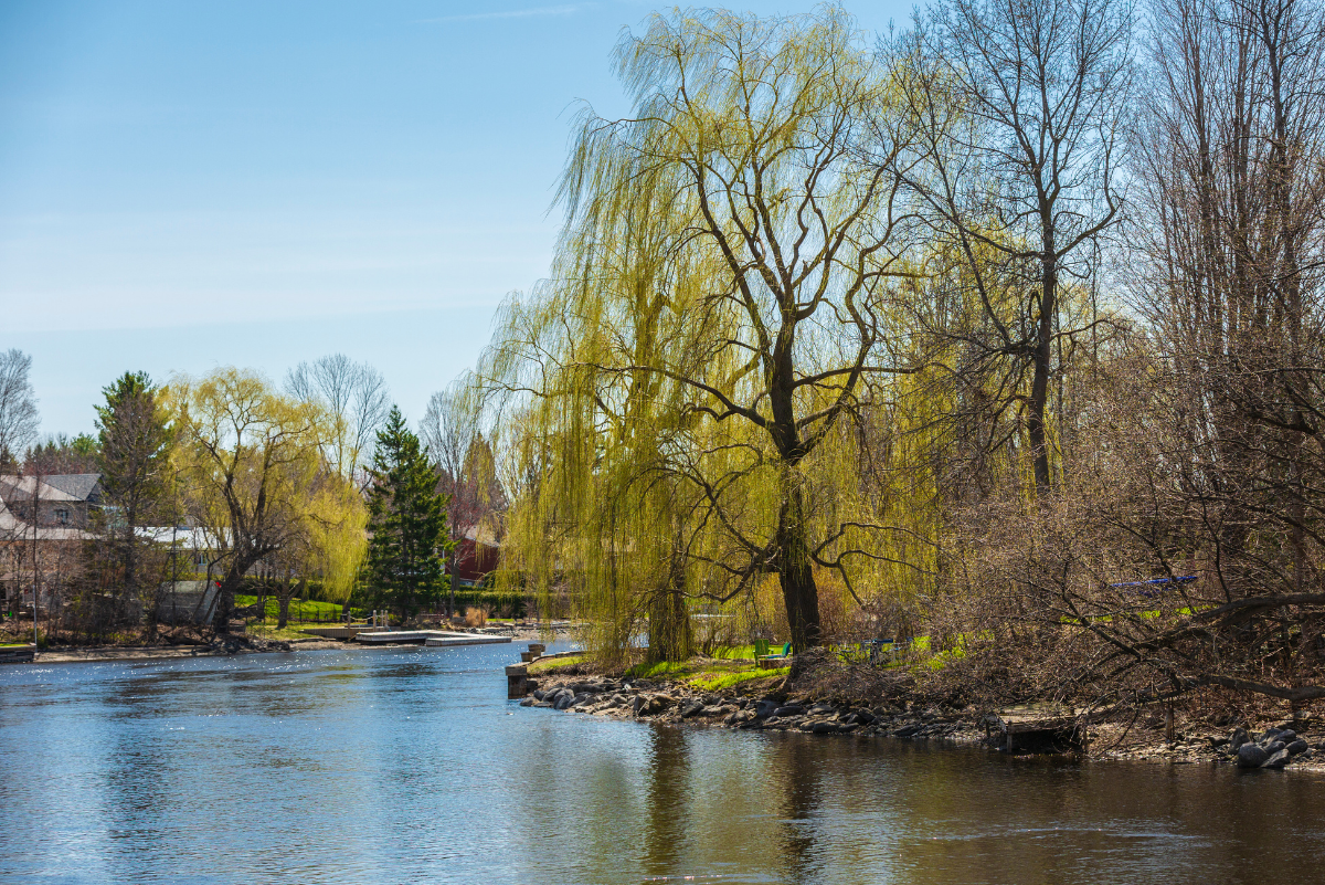 Chiropractic Clinics near Gloucester, Ontario | Painhero.ca