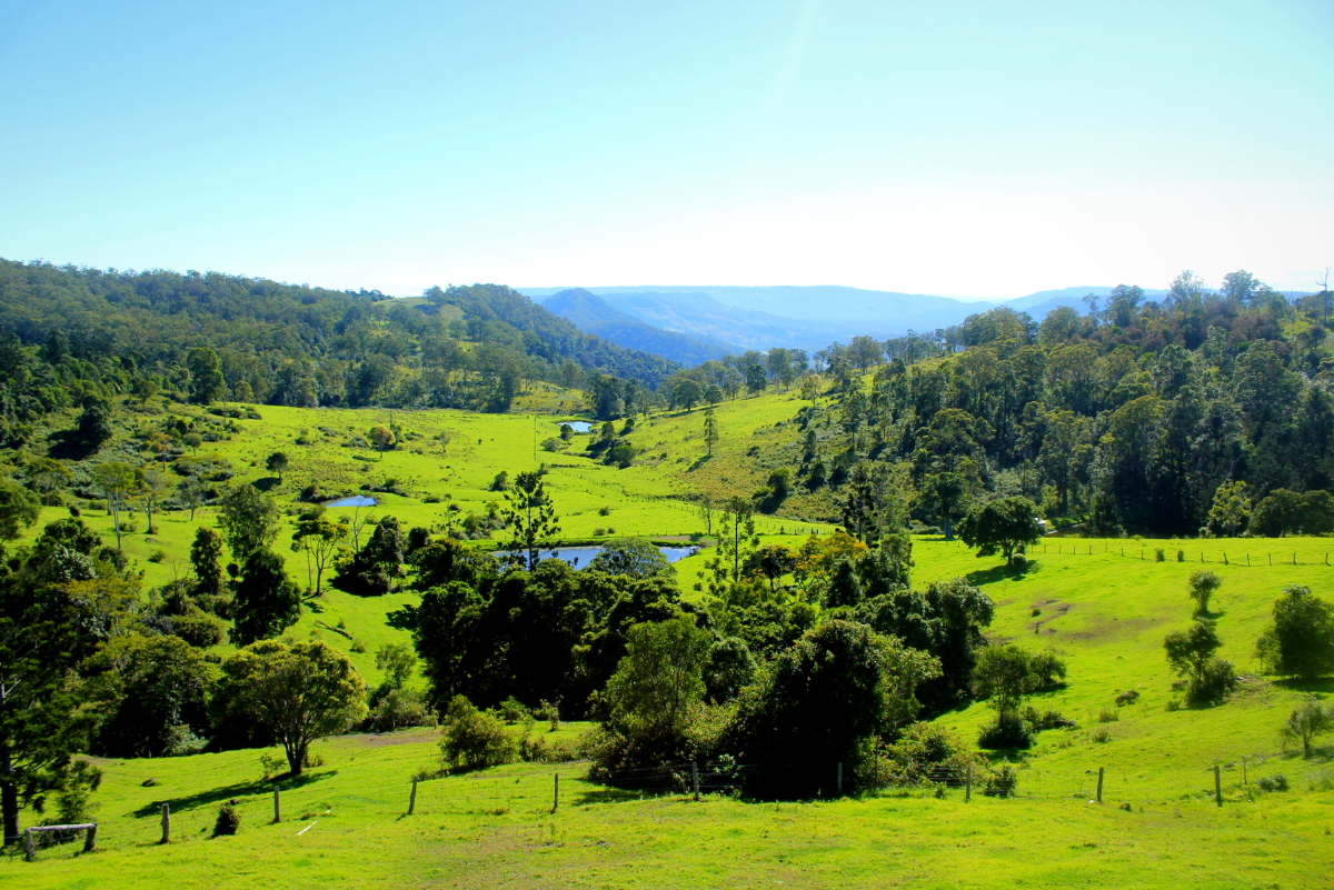 Hamilton, Ontario - PainHero