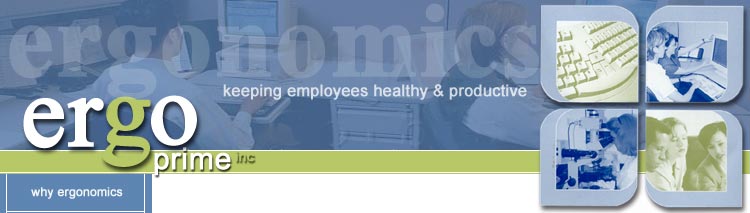 ErgoPrime Inc, Ottawa, Ontario - Ergonomic Assessments | Painhero.ca